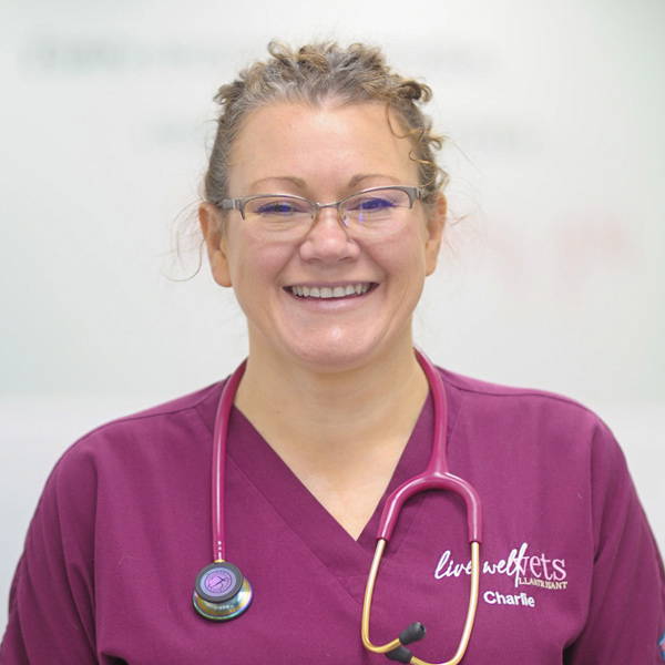 Meet the Amazing Veterinary Team at Live Well Vets