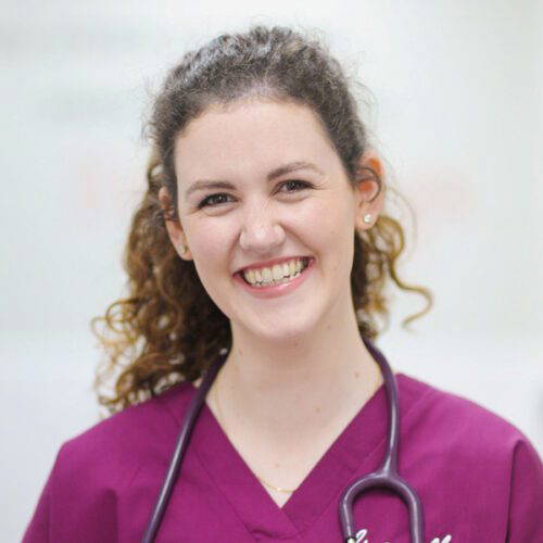 Meet the Amazing Veterinary Team at Live Well Vets