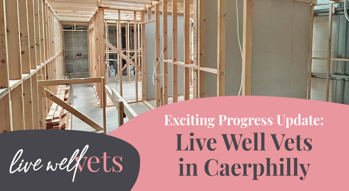Exciting Progress Update: Live Well Vets in Caerphilly