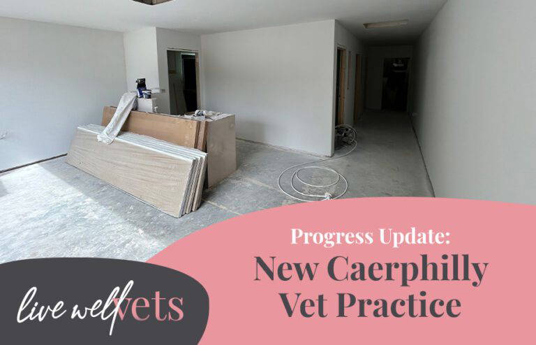 Practices - Caerphilly Vet Practice - Live Well Vets