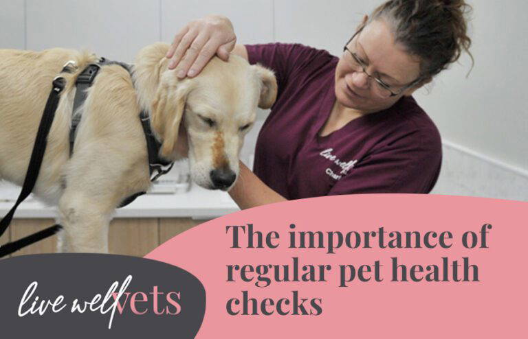 The importance of regular pet health checks: A guide for pet owners ...