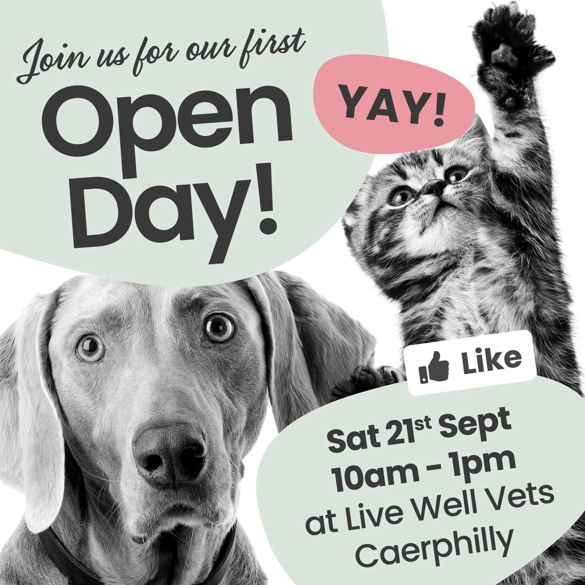 Caerphilly Vet Practice | Live Well Vets | 02922 520 471