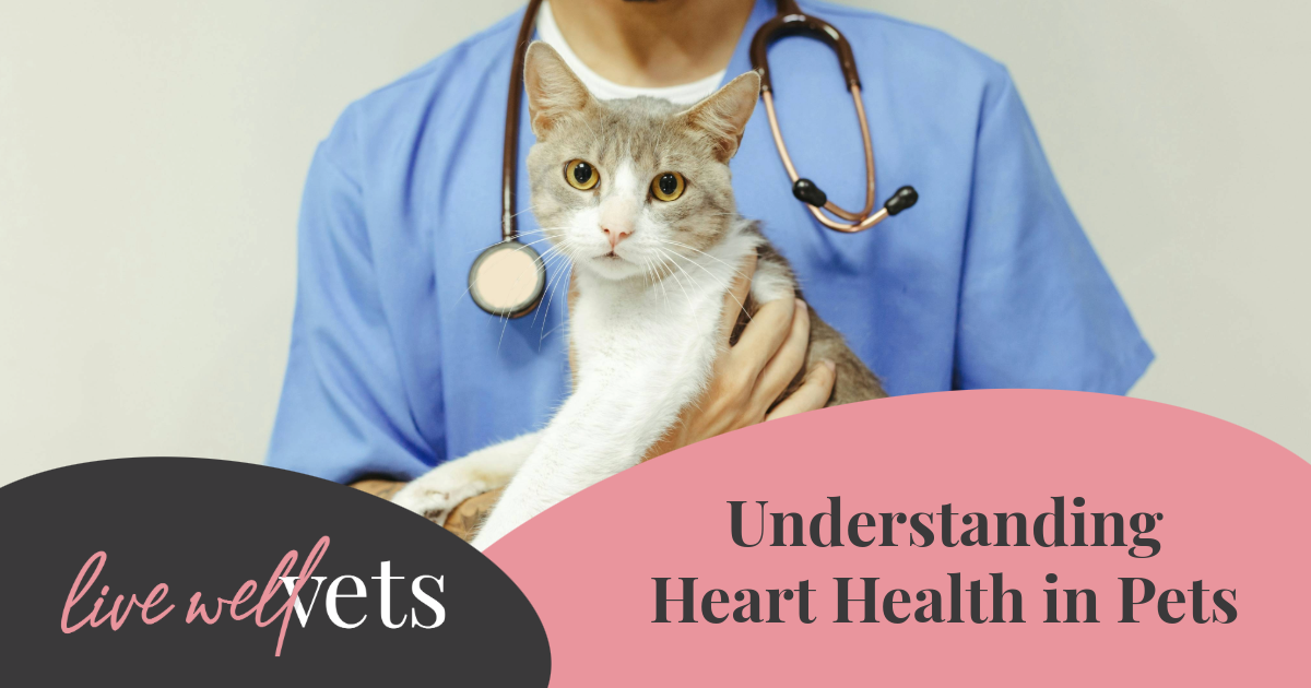 Understanding Heart Health in Pets | Vet Advice for UK Pet Owners